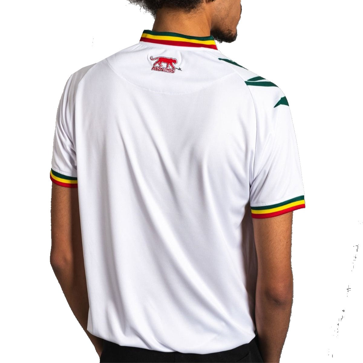 Mali national team Home soccer jersey 2024 - Airness – SoccerTracksuits.com