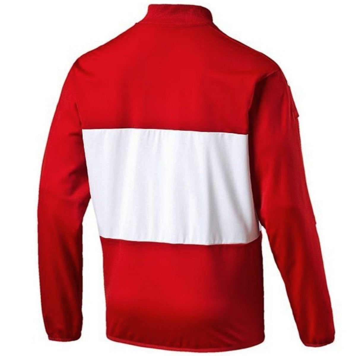 Austria national team presentation Soccer jacket 2016/17 - Puma ...